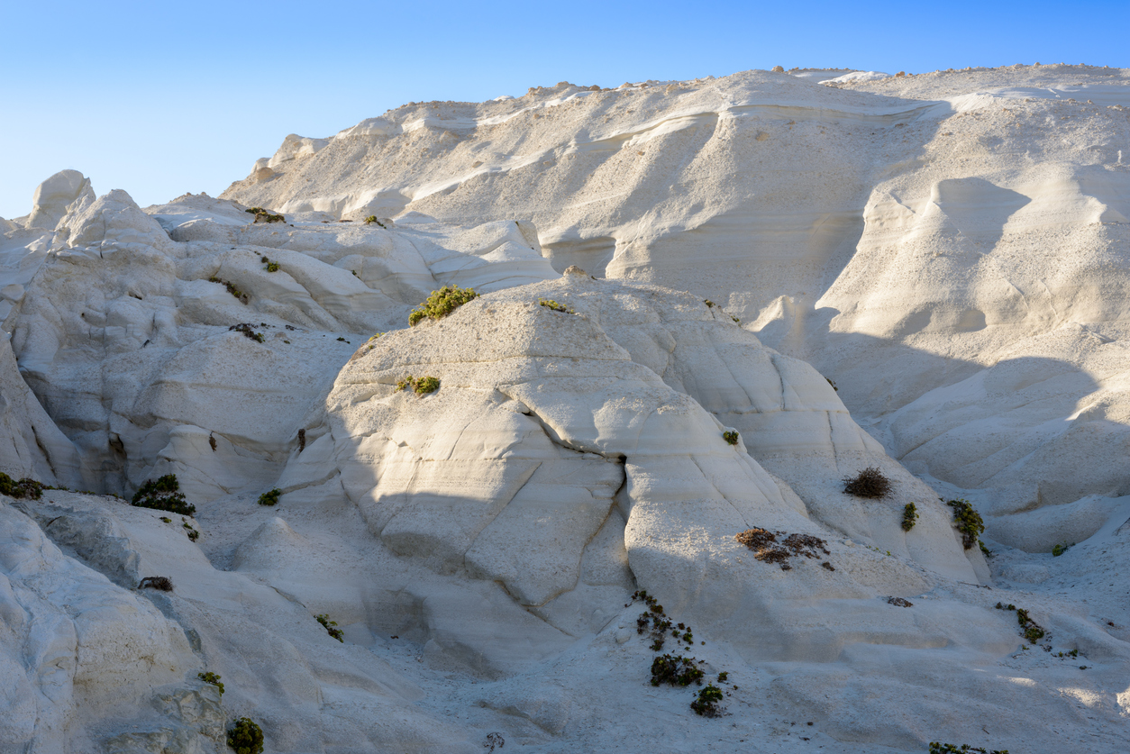 Panache Desai | National Diatomaceous Earth Day